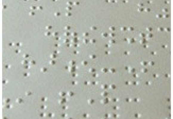 Braille Central - RNIB Bookshare